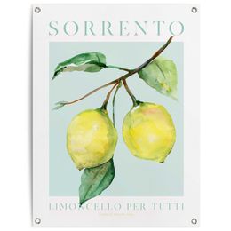 Poster Reinders "Lemon Portrait", gelb (farbe bild(er): gelb), B:60cm H:80cm T:0,1cm, Bilder, Poster, Garten - Obst - Sorrento - Italien - Gelb - Leinwand - 60x80 cm