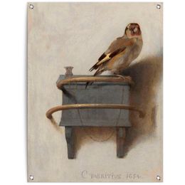 Poster Reinders "Der Distelfink", braun (farbe bild(er): braun), B:60cm H:80cm T:0,1cm, Leinwand, Bilder, Poster