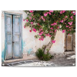 Poster Reinders "Greek Facade", rosa (farbe bild(er): rosa), B:80cm H:60cm T:0,1cm, Bilder, Poster, Garten - Griechenland - Blumen - T&uuml;r - Rosa - Leinwand - 80x60 cm
