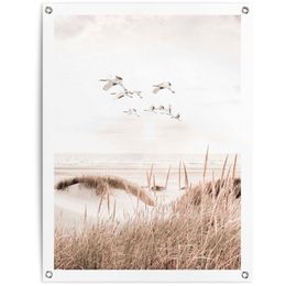 Poster Reinders "Kraniche", beige (farbe bild(er): beige), B:60cm H:80cm T:0,1cm, Leinwand, Bilder, Poster
