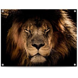 Poster Reinders "L&ouml;we", braun (farbe bild(er): braun), B:80cm H:60cm T:0,1cm, Leinwand, Bilder, Poster