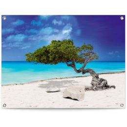 Poster Reinders "Tropische Insel", blau (farbe bild(er): blau), B:80cm H:60cm T:0,1cm, Leinwand, Bilder, Poster