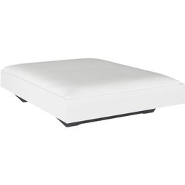Futonbett Rauch "Phoenix", wei&szlig; (wei&szlig; hochglanz), B:165cm H:41cm L:206cm, Betten, Futonbett, ohne Kopfteil