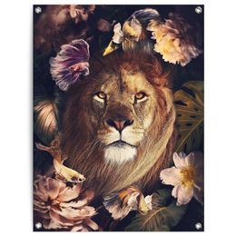 Poster Reinders "Dschungel-L&ouml;we", braun (farbe bild(er): braun), B:60cm H:80cm T:0,1cm, Leinwand, Bilder, Poster, Outdoor f&uuml;r Garten oder Balkon