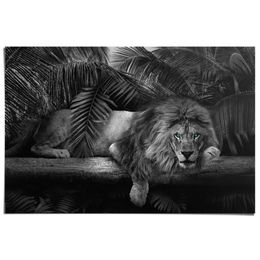 Poster Reinders "L&ouml;wenblick", schwarz (farbe bild(er): schwarz), B:91,5cm H:61cm T:0,1cm, Papier, Bilder, Poster
