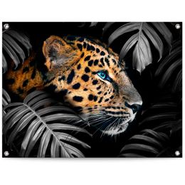 Poster Reinders "Leopard", bunt (farbe bild(er): bunt), B:80cm H:60cm T:0,1cm, Leinwand, Bilder, Poster