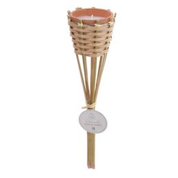 Bambusfackel Citronella 35 cm