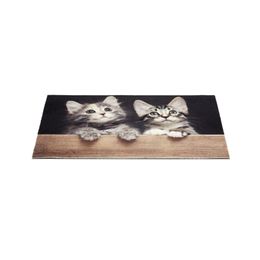 Astra Fu&szlig;matte 'Deco Print' ca. 40 x 60 cm Katzen Holz