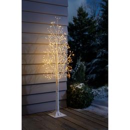 LED-Birke 360 LEDs 120 cm