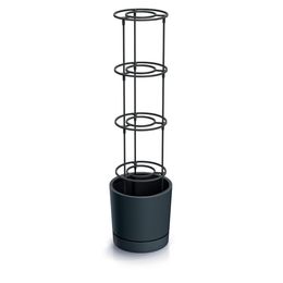 Prosperplast Tomatentopf grau &Oslash; 30 cm mit Rankhilfe