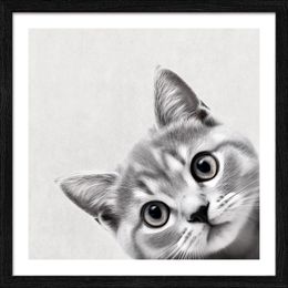 Pro Art Pro-Art Kunstdruck Framed-Art Slim Scandic 'Funny Cat II' 33 x 33 cm gerahmt