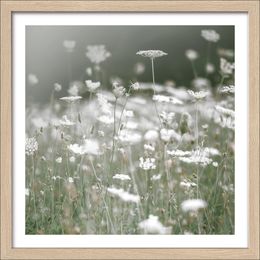 Pro Art Pro-Art Kunstdruck Framed-Art Slim Scandic 'Flowers III' 33 x 33 cm gerahmt