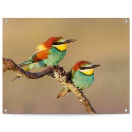 Poster Reinders "Der Bienenfresser", bunt (farbe bild(er): bunt), B:80cm H:60cm T:0,1cm, Leinwand, Bilder, Poster, Outdoor f&uuml;r Garten oder Balkon