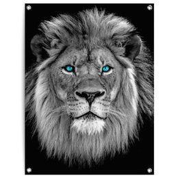 Poster Reinders "L&ouml;we mit blaue Augen", schwarz (farbe bild(er): schwarz), B:60cm H:80cm T:0,1cm, Leinwand, Bilder, Poster, Outdoor f&uuml;r Garten oder Balkon