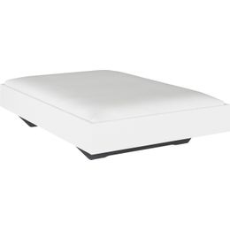 Futonbett Rauch "Phoenix", wei&szlig;, B:145cm H:41cm L:206cm, Betten, Futonbett, ohne Kopfteil