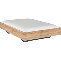 Futonbett Rauch "Phoenix", braun (struktureichefarben hell), B:145cm H:41cm L:206cm, Betten, Futonbett, ohne Kopfteil