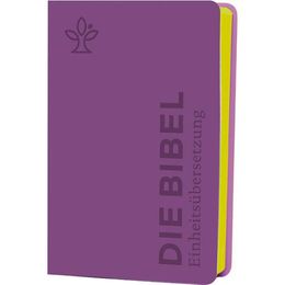 Die Bibel