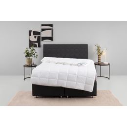 f.a.n. Kunstfaserbettdecke FAN "Wellness Line", wei&szlig;, B:155cm L:220cm, Bezug: 100% Baumwolle. F&uuml;llung: 100% Polyester, Bettdecken, kochfest bis 95 C - mit immer wieder aufsch&uuml;ttelbarer Faserf&uuml;llung