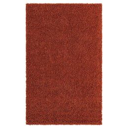 Pharao24.de Hochflor Teppich Terracotta viele Gr&ouml;&szlig;en auch L&auml;ufer