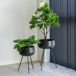 Pharao24.de Blumenst&auml;nder Set Blument&ouml;pfe in Schwarz aus Stahl (zweiteilig)