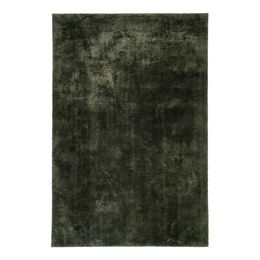 Pharao24.de Dunkelgr&uuml;ner Teppich in modernem Design rechteckig
