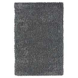 Pharao24.de Wohnzimmer Teppich Langflor in Grau Shaggy