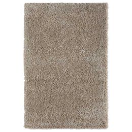 Pharao24.de Hochfloriger Teppich in Beige Shaggy viele Gr&ouml;&szlig;en - auch L&auml;ufer