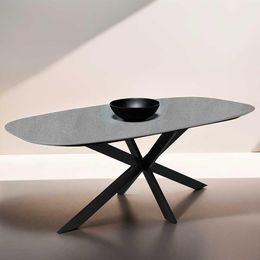 Pharao24.de Esstisch Tisch Esszimmer in Grau mit Spider Gestell