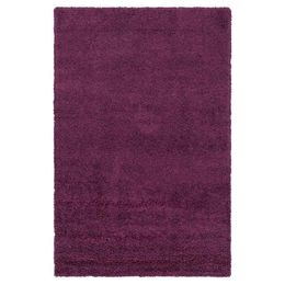 Pharao24.de Lila Shaggy Teppich Hochflor in modernem Design viele Gr&ouml;&szlig;en - auch L&auml;ufer
