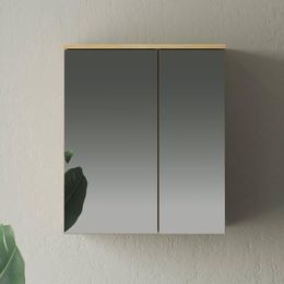 Pharao24.de Spiegelschrank Badezimmerschrank f&uuml;r die Wandmontage 2 tuerig