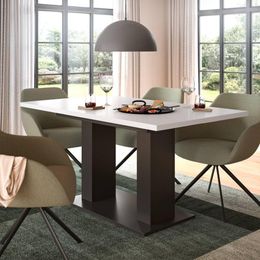 Pharao24.de Esstisch Esszimmer Tisch auf S&auml;ulengestell in modernem Design