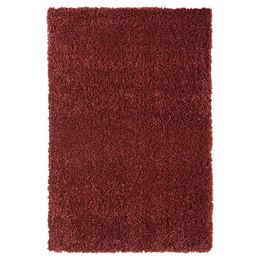 Pharao24.de Dunkelroter Teppich Hochflor Shaggy vielen Gr&ouml;&szlig;en - auch L&auml;ufer