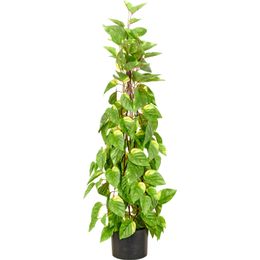 Kunstpflanze Creativ green "Epipremnum", gr&uuml;n, H:95cm, Obermaterial: 100% Kunststoff, Kunstpflanzen, Kunstpflanze, in Pyramidenform