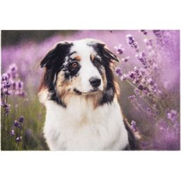 Fu&szlig;matte Astra "Deco Print 105", multi, B:40cm H:5mm L:60cm, Kunstfaser, Teppiche, Fu&szlig;matte, Sauberlaufmatte, T&uuml;rmatte, waschbar, Eingangsbereich, rutschfest