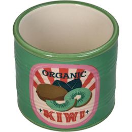 SONSTIGE Pflanzgef&auml;&szlig; KIWI