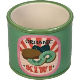 SONSTIGE Pflanzgef&auml;&szlig; KIWI