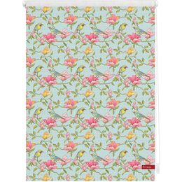 Seitenzugrollo LICHTBLICK ORIGINAL "Rollo Klemmfix, ohne Bohren, Verdunkelung, Birds - Gr&uuml;n Pink", gr&uuml;n (gr&uuml;n, pink, wei&szlig;), B:150cm H:70cm, Polyester, Rollos, Seitenzugrollo