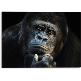 Glasbild Reinders "Glasbild Gorilla Affe - Kr&auml;ftig - Nachdenklich", schwarz (farbe bild(er): schwarz), B:70cm H:50cm, Acrylglas, Bilder