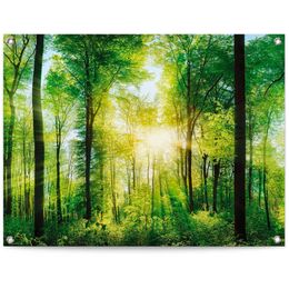 Poster Reinders "Sommerwald", gr&uuml;n (farbe bild(er): gr&uuml;n), B:80cm H:60cm T:0,1cm, Leinwand, Bilder, Poster