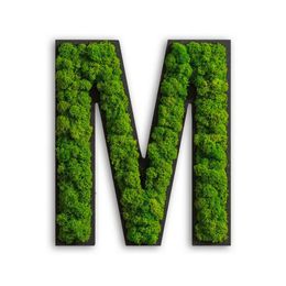 Moosbild Stylegreen, Gr&uuml;n, Naturmaterialien, Kork, Pflanzen, 25x21x4 cm, einfache und schnelle Anbringung, pflegefrei &ndash; nicht gie&szlig;en oder bespr&uuml;hen, keine Beleuchtung notwendig, Bilder und Zubeh&ouml;r, Moosbilder