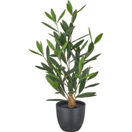 Kunstpflanze Creativ green "Olivenb&auml;umchen", gr&uuml;n, H:48cm, Obermaterial: 100% Kunststoff, Kunstpflanzen, Kunstpflanze, in niedlicher Gr&ouml;&szlig;e
