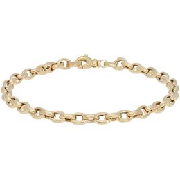 Armkette Firetti "Schmuck Geschenk Gold 585 Armschmuck Armkette Anker ca. 4,3 mm breit" Gr. 21, gold (gelbgoldfarben), Armb&auml;nder, Damen, 21, Gelbgold 585, Armkette