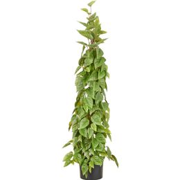 Kunstbaum Creativ green "Philodendron scandens", gr&uuml;n, H:125cm, Obermaterial: 100% Kunststoff, Kunstpflanzen, in Pyramidenform