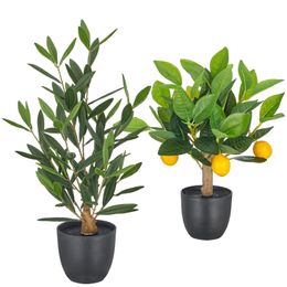 Kunstpflanze Creativ green "Oliven- und Zitronenb&auml;umchen", gr&uuml;n, H:48cm, Obermaterial: 100% Kunststoff, Kunstpflanzen, Kunstpflanze, in niedlicher Gr&ouml;&szlig;e