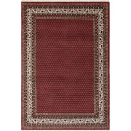 Orientteppich OTTO HOME "Levin" Gr. 11, rot, B:80cm H:12mm L:200cm, Wolle, Teppiche, Fransenteppich, handgekn&uuml;pft, reine Wolle, mit Fransen, auch als L&auml;ufer, Wohnzimmer