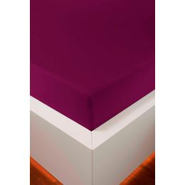 Spannbettlaken bellana "bellana Aqua mit Elasthan, 160 g/m&sup2;", rot (burgund), 1 Stk., Jersey-Elasthan, 180x200 180x210 180x220 190x200 190x210 190x220 200x200 200x210 200x220 35cm, Jersey-Elasthan, Obermaterial: 97% Baumwolle, 3% Elasthan, Bettlaken, Spannbettlaken, Spannbetttuch f&uuml;r Matratzen bis 35cm H&ouml;he, b&uuml;gelfrei, faltenfrei, Topseller