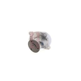 AKS DASIS Wasserpumpe 570460n f&uuml;r SMART NISSAN RENAULT DACIA