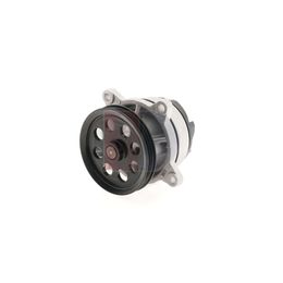 AKS DASIS Wasserpumpe 570195n f&uuml;r Ford