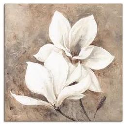 Leinwandbild Artland "Klassische Magnolien", beige (farbe bild(er): naturfarben), B:100cm H:100cm, Bilder, Leinwandbild, auf Holzrahmen gespannt