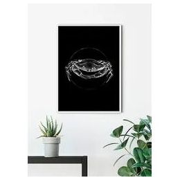 Bild Komar "Crab Black", bunt (farbe bild(er): bunt), B:50cm H:70cm, Holz, Papier, Bilder, Bild, Wandbild zur Dekoration - ohne Rahmen